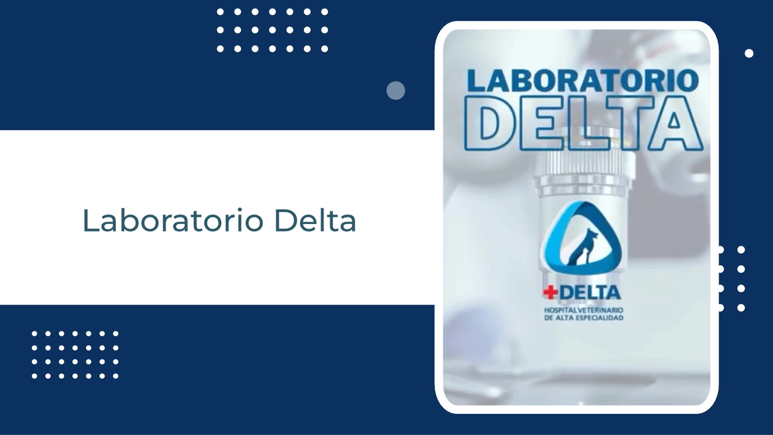 Laboratorio – Delta Life